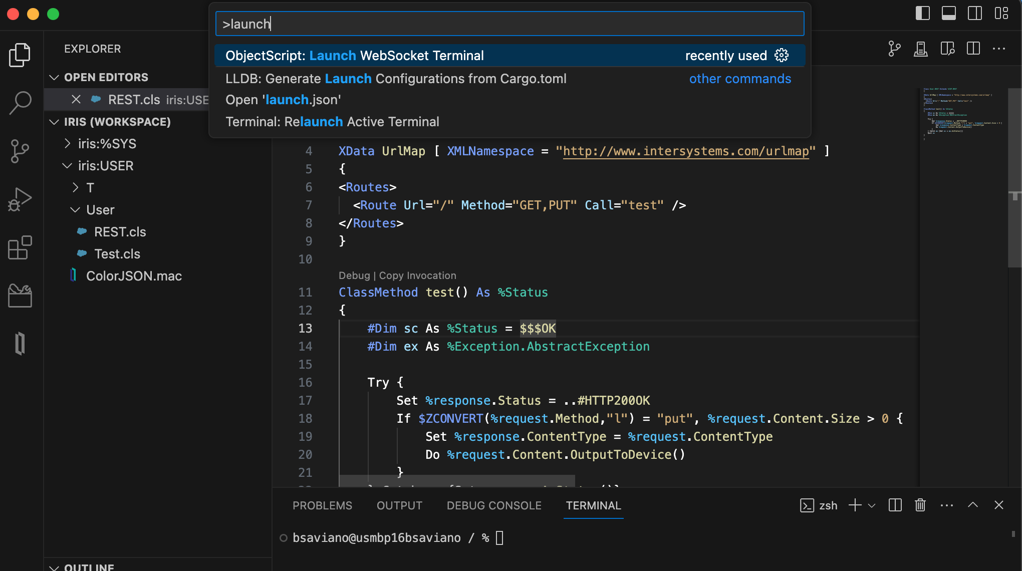Comment Exécuter Des Commandes Objectscript Dans Le Terminal Intégré Vs